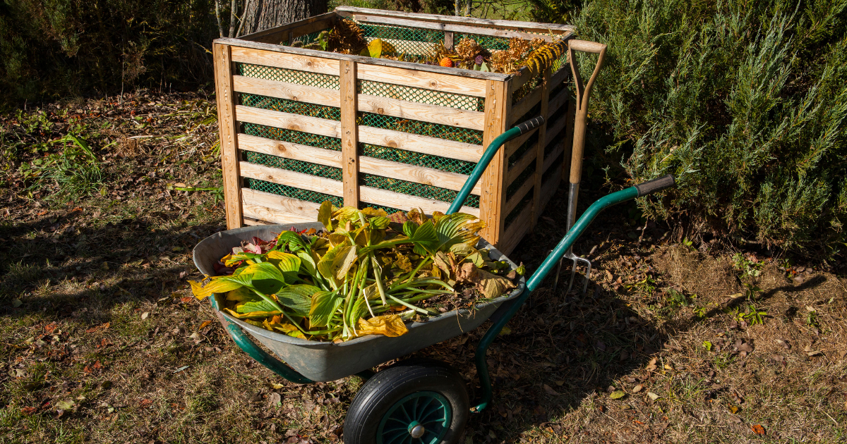 Building A DIY Compost Bin: A Step-by-Step Guide - Organic Homesteaders