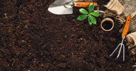 Transform Your Homestead with Permaculture Gardening Secrets - Organic ...